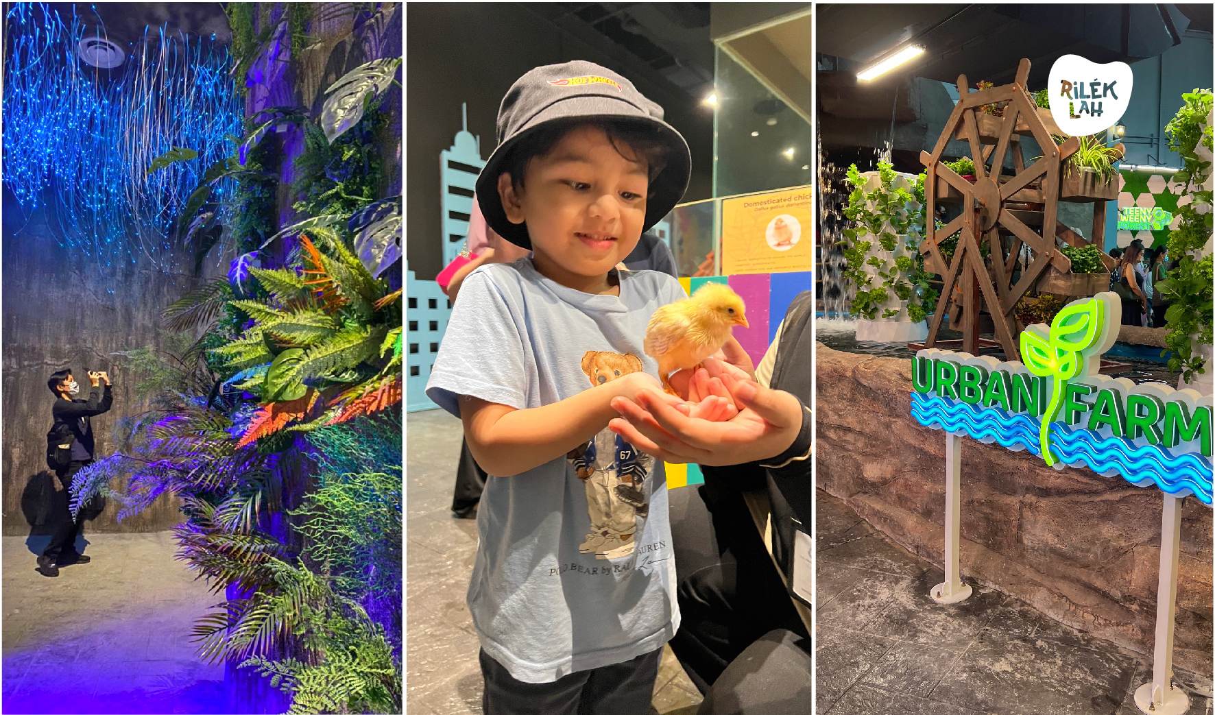 IOI City Farm - Tarikan Terbaharu Bawa Anak-Anak Berjalan Sambil ...