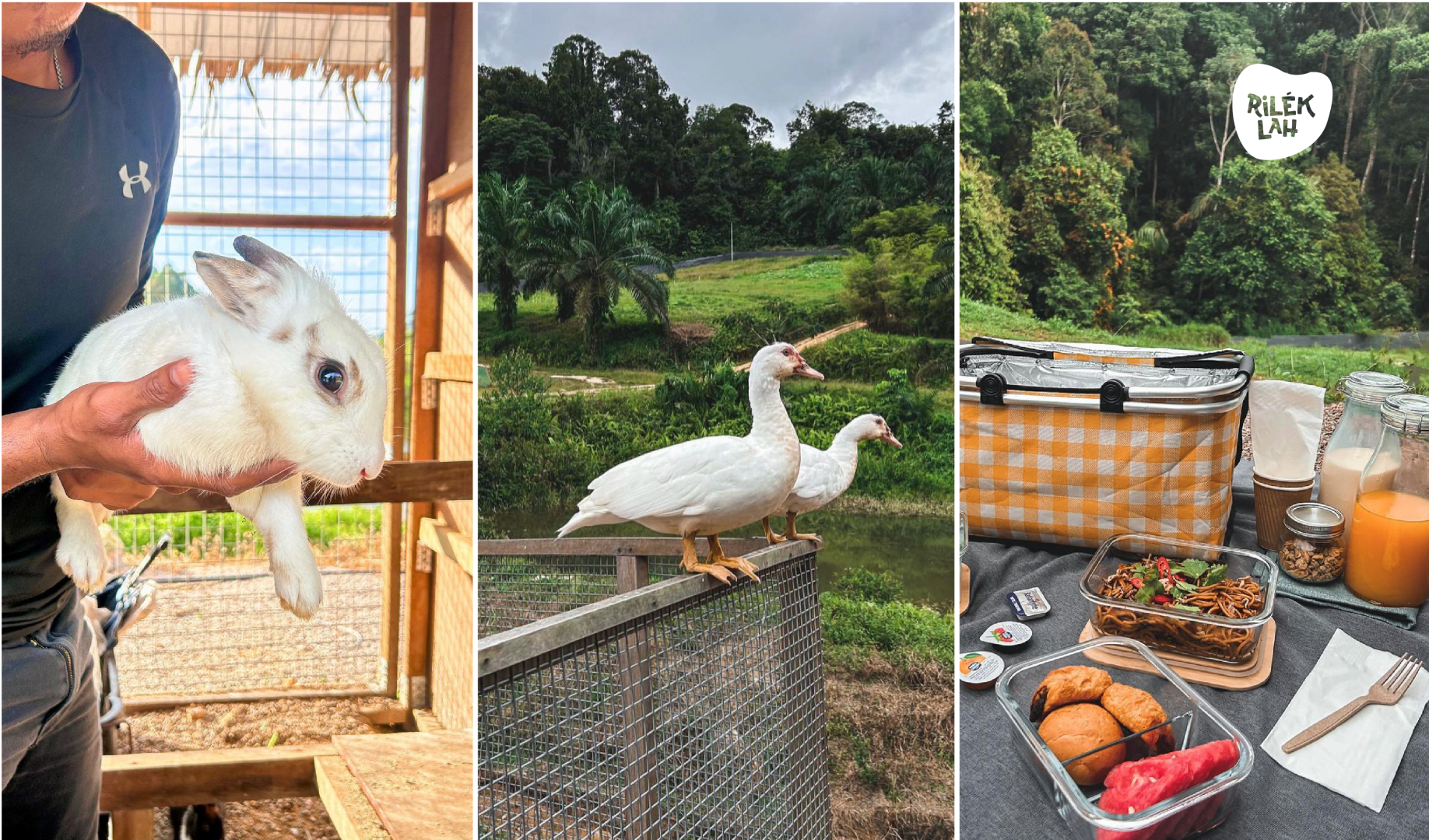 Talula Hill Farm Resort Kluang Johor, Tawarkan Percutian Di Dalam ...