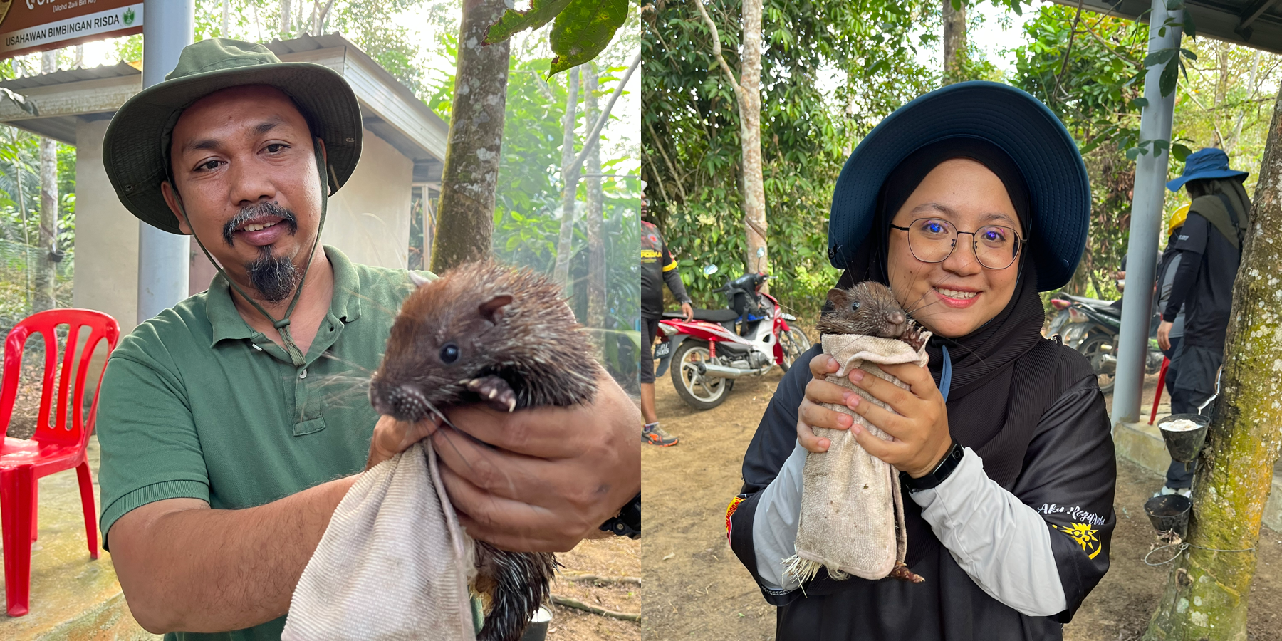 Cabin Hills Labis Eco Resort Port Bercuti Untuk Kaki Outdoor ...