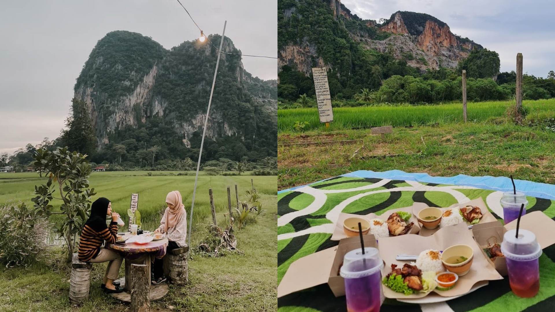 Kafe Unik Balbuk Haus Dengan Perpustakaan Mini Tengah Sawah Padi Di ...