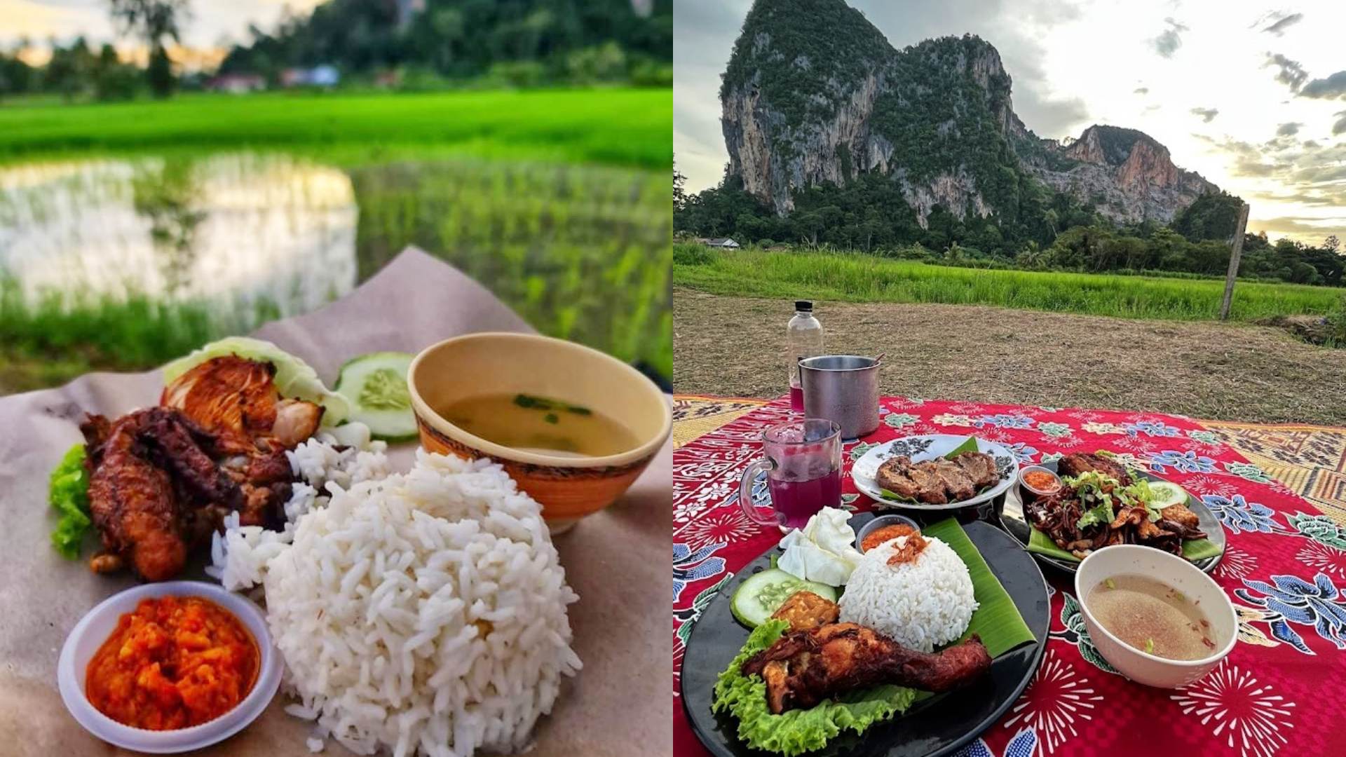 Kafe Unik Balbuk Haus Dengan Perpustakaan Mini Tengah Sawah Padi Di ...